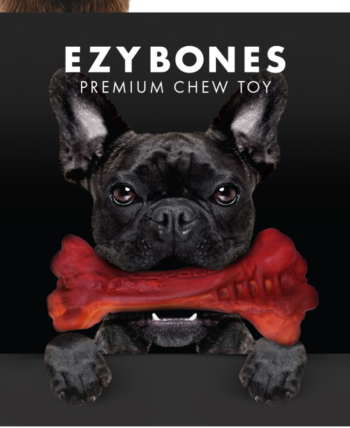 【myne寵好選物】澳洲EZYDOG -天然橡膠牛骨｜耐咬玩具｜舒緩焦慮｜增加互動性｜牛肉風味｜ | 蝦皮購物