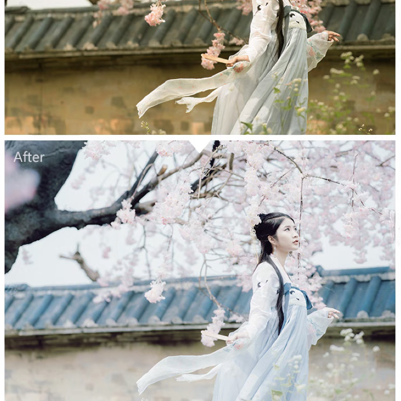 調色預設｜Cinestill 50D 電影卷｜PL0176｜濾鏡 Luts｜ LR PS FCPX PR AE Davi | 蝦皮購物