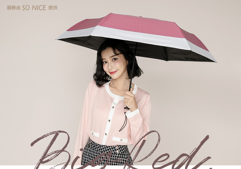 《BigRed 極度輕黑膠》19吋手開折傘︱防曬抗UV︱輕巧好攜帶∣終身免費維修 | 蝦皮購物