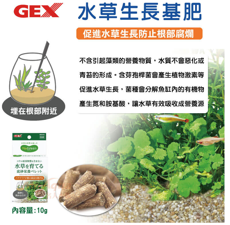 [HAPPY水族] 日本 GEX 五味 水草生長基肥 (10g) 水草根肥 水草基肥 N-32 | 蝦皮購物