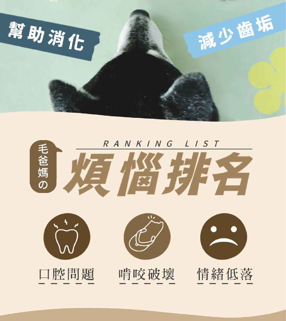 艾爾發寵物 | Abao 阿寶 水果優格啾啾棒 5種口味 65g x 5入 | 蝦皮購物