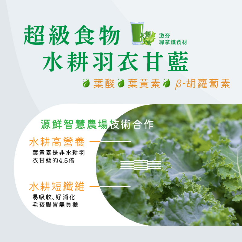 滿24罐送逗貓棒 hojja 賀家 最愛罐罐 台灣米其林貓主食罐80g 98% 高蛋白低碳水 含肉量 全齡貓 不含化學 | 蝦皮購物