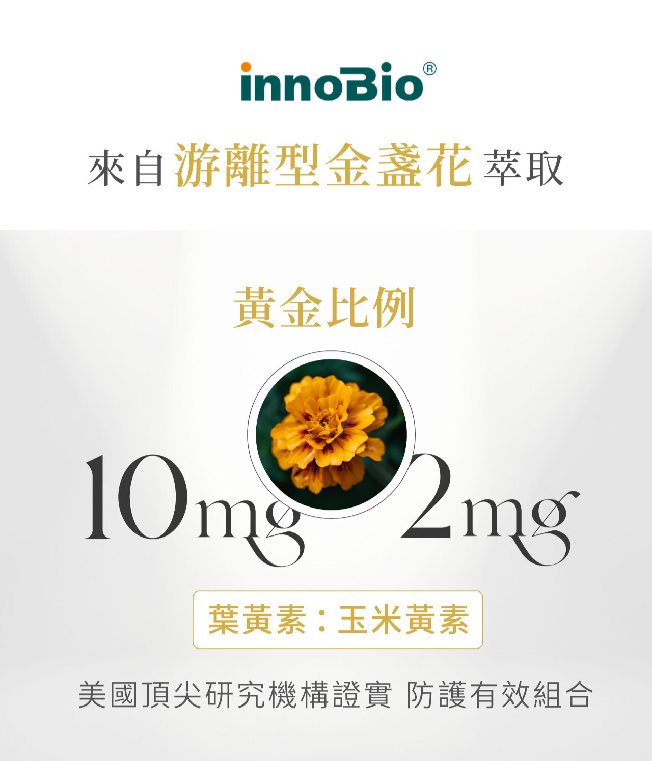 【BLUEMEI 布樂美】北歐藍靛果金盞花葉黃素複方(1盒/60粒/瓶) | 蝦皮購物