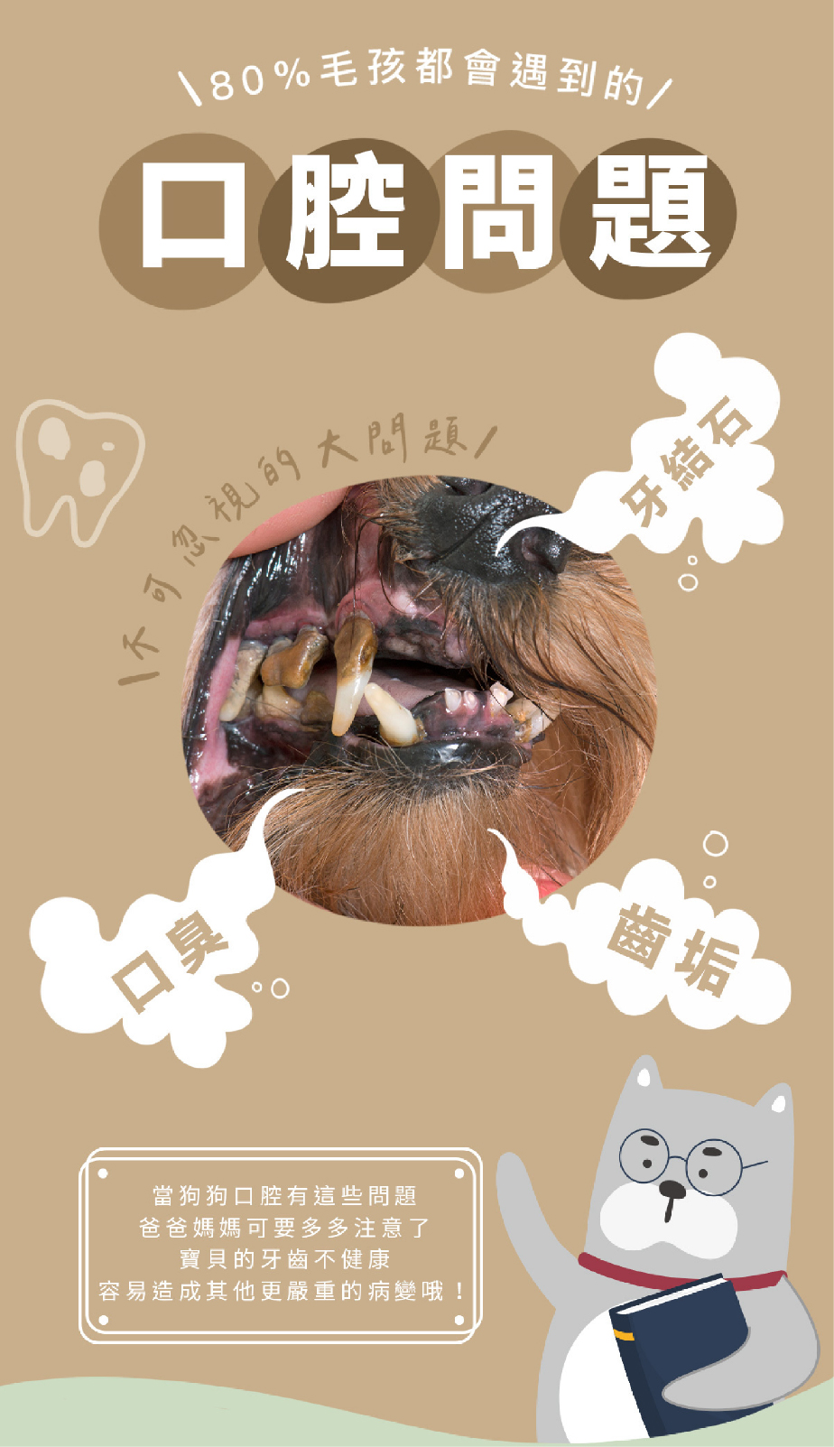 艾爾發寵物 | Abao 阿寶 水果優格啾啾棒 5種口味 65g x 5入 | 蝦皮購物