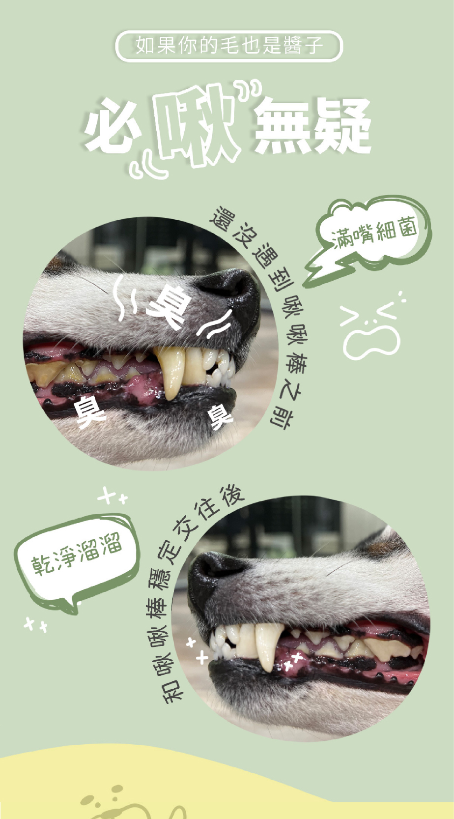 艾爾發寵物 | Abao 阿寶 水果優格啾啾棒 5種口味 65g x 5入 | 蝦皮購物