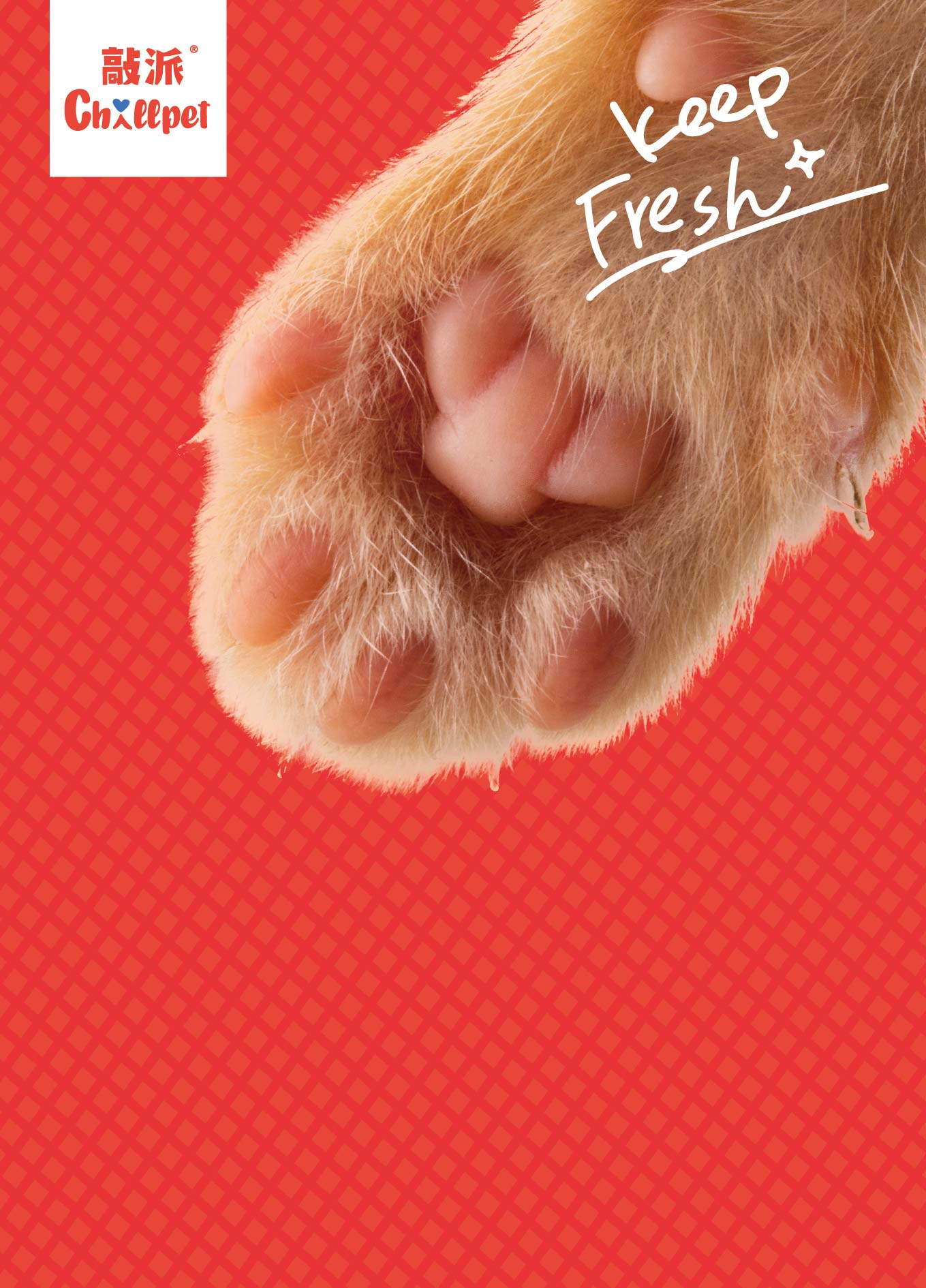 【Chillpet敲派】萬用罐頭密封保鮮蓋(狗貓用品) | 蝦皮購物