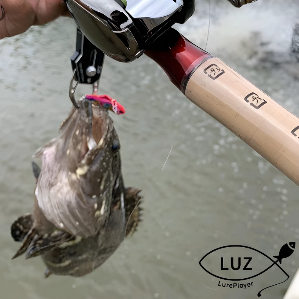 【LUZ路亞】【現貨】鯊魚vib 顫泳5.3g海鱸 曲腰 vib 火口 路亞 假餌 米諾 亮片路亞餌 軟蟲 鐵板 魚 蝦 | 蝦皮購物