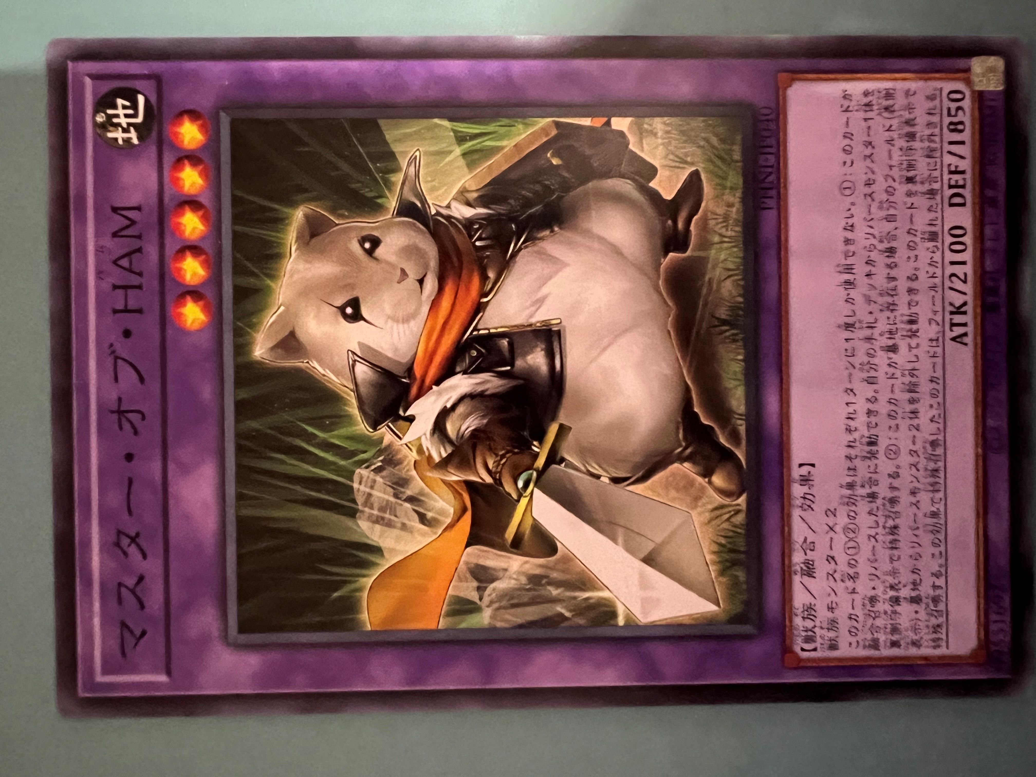 1203 PHNI-JP040 哈姆大師(普卡) | 蝦皮購物