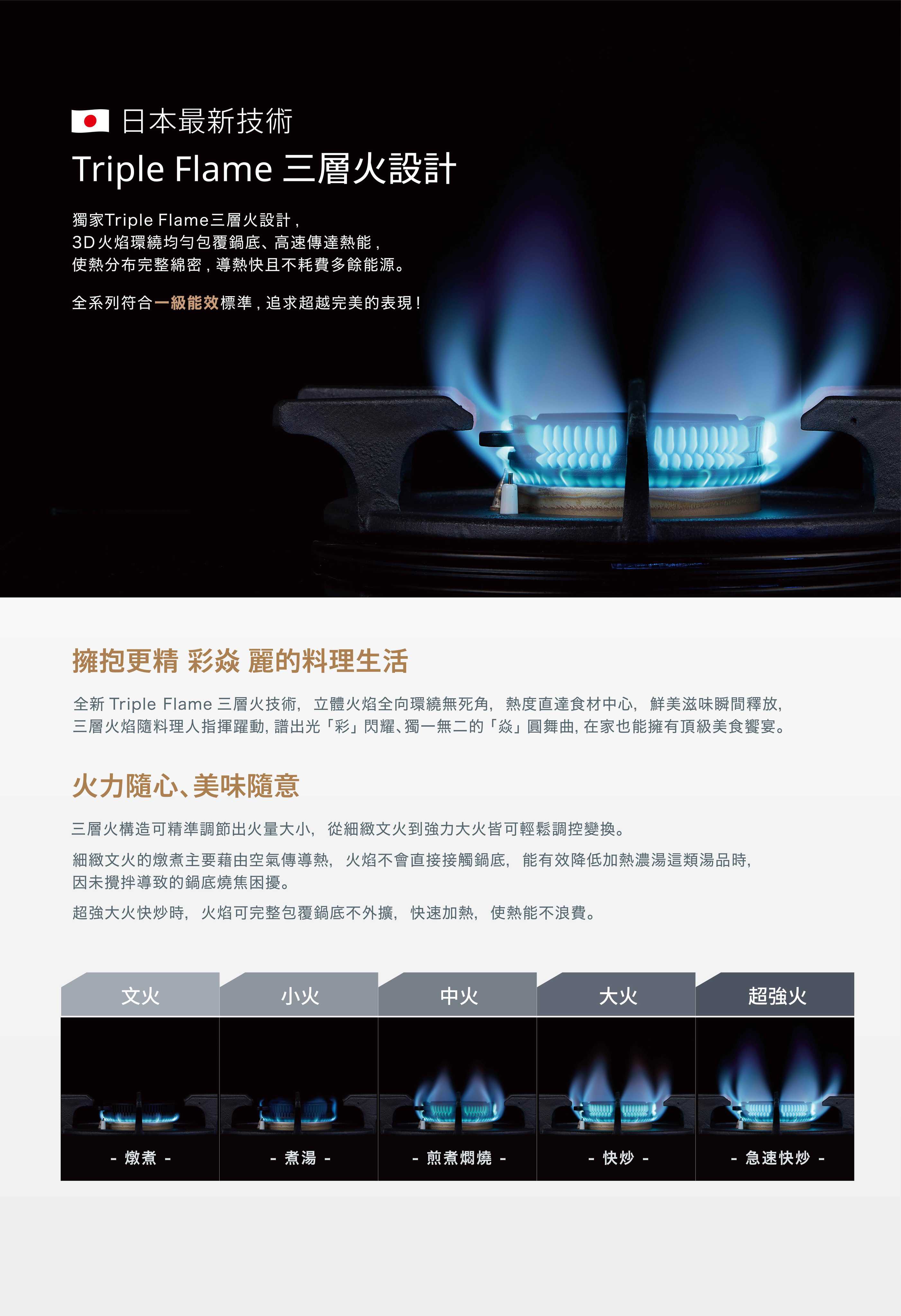 🔨 實體店面 RINNAI 林內牌 RBTS-L260S 嵌入式彩焱不銹鋼雙口爐 北北基桃免運費 | 蝦皮購物