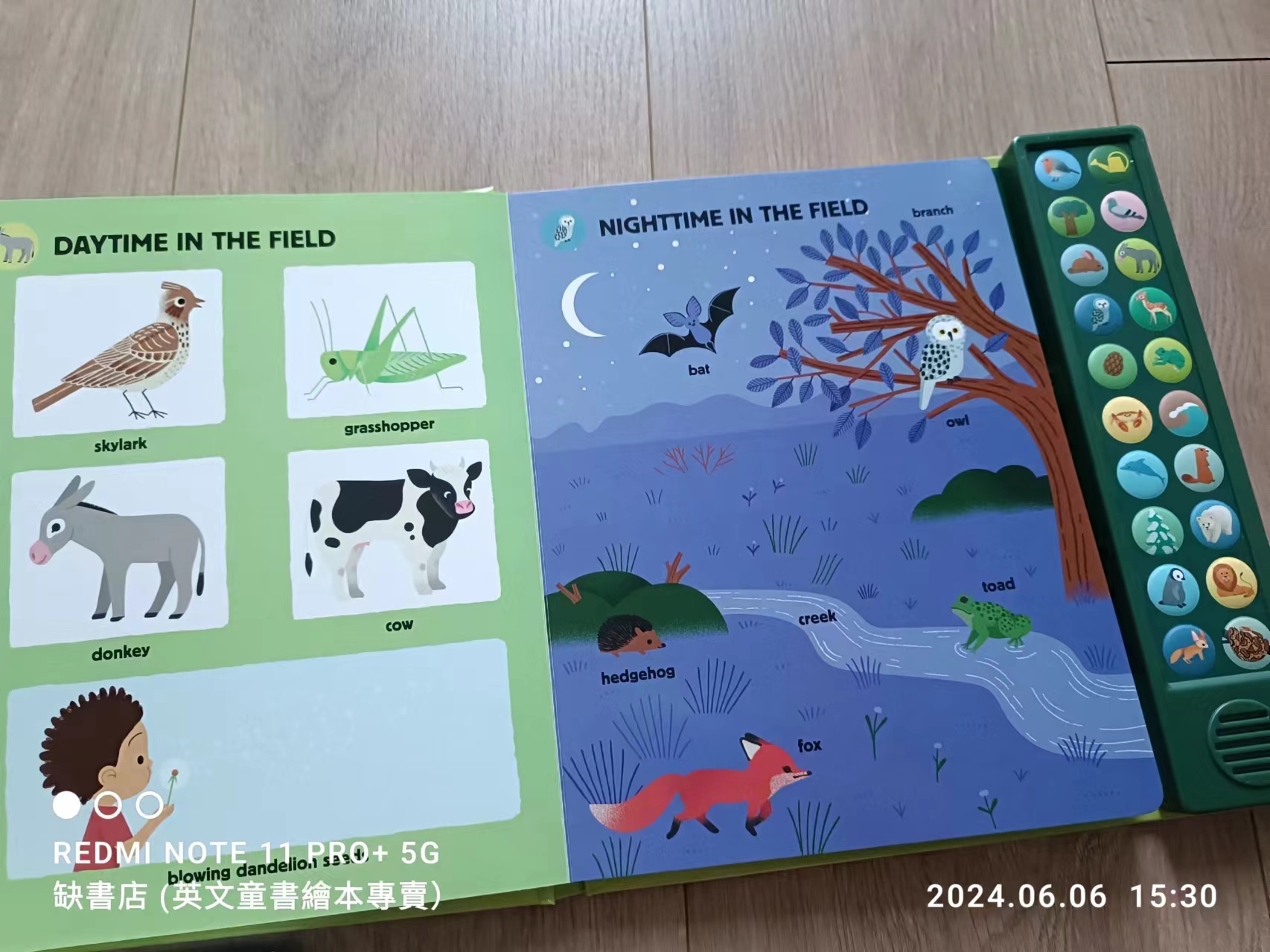 英文硬頁大自然音效按鍵書🍀My Big Book of Nature Sounds🍀100種聲音和英文單字🍀缺書店 | 蝦皮購物