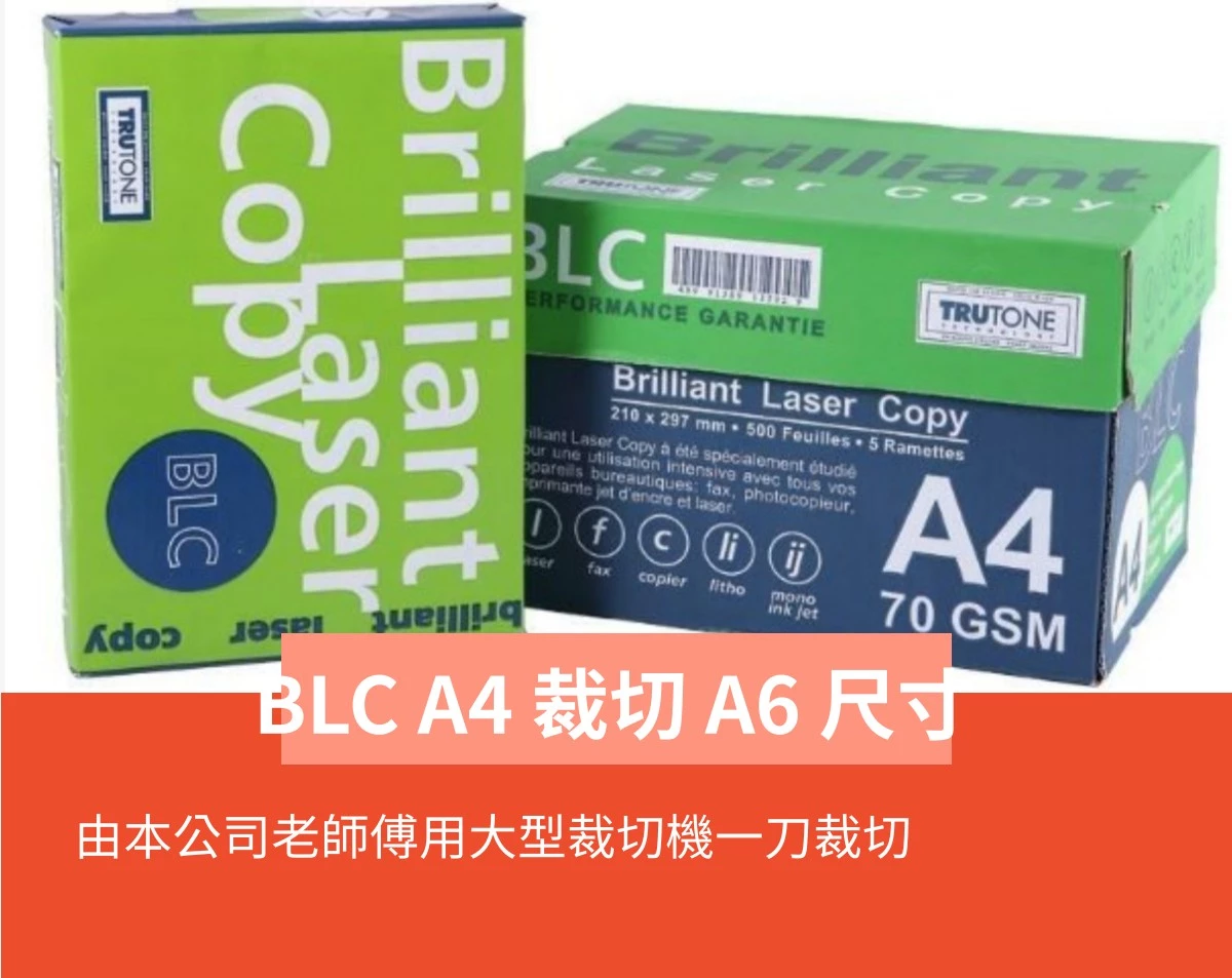 BLC 影印紙 70磅 A6 (2包入) 500張/包 拍賣 網拍 專用規格 醫院 診所 藥單 | 蝦皮購物