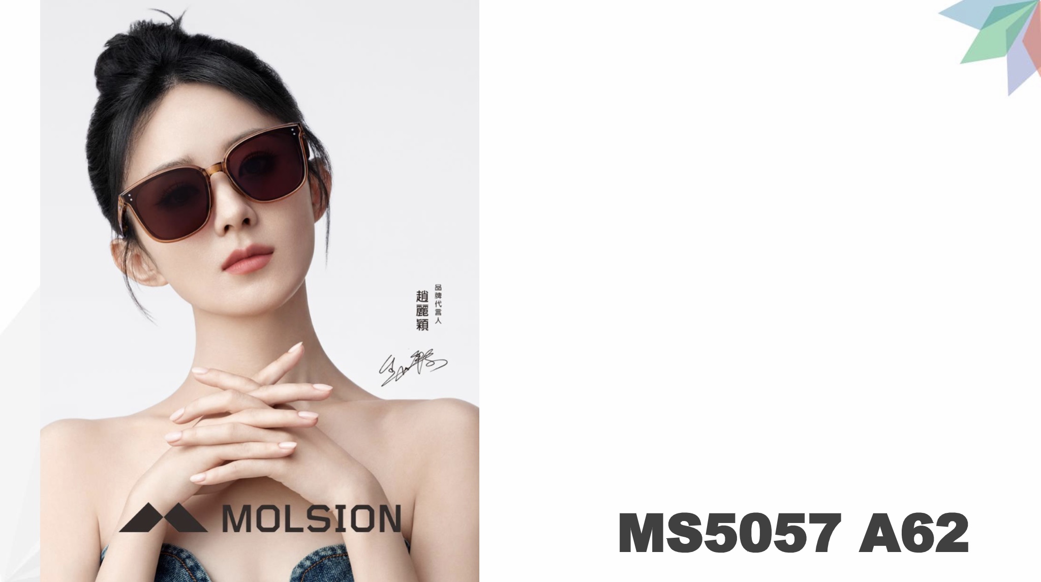 【MOLSION 陌森】方形膠框摺疊太陽眼鏡(MS5057) | 蝦皮購物