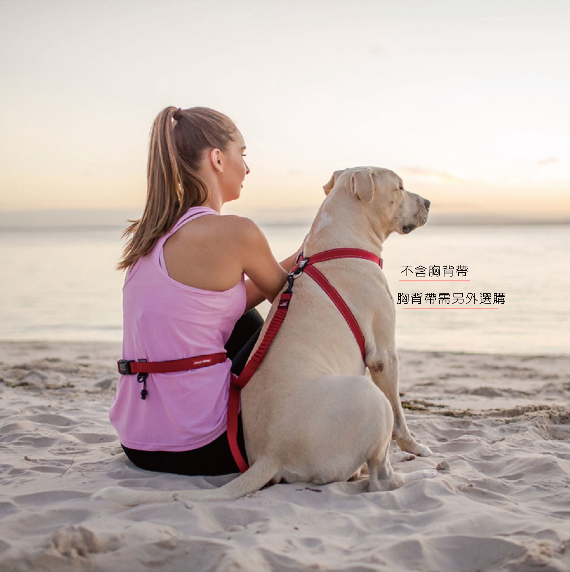 EZYDOG 跑步牽繩（不含胸背帶）減緩50%拉扯力 夜間反光設計 可掛拾便帶 肩背繫腰免手牽 寵物牽繩 | 蝦皮購物