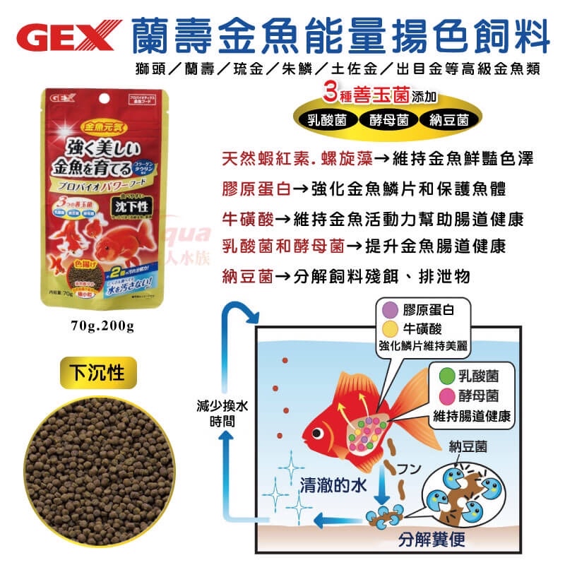 {水族1店｝GEX蘭壽金魚能量揚色飼料(善玉菌）下沉性 200g | 蝦皮購物