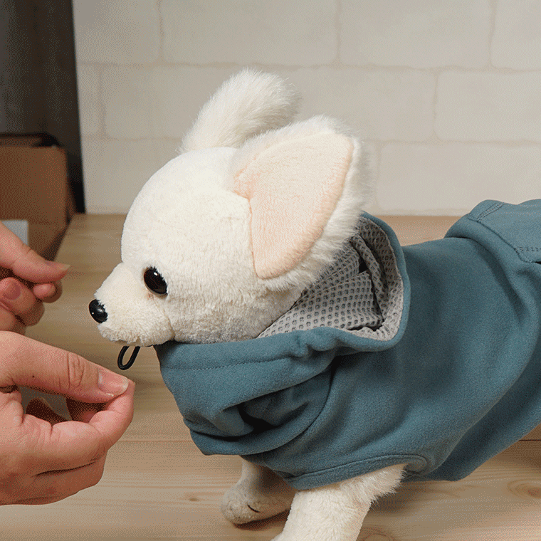 【日本IDOG&ICAT】狗狗套耳式連帽衣 保暖衣 防風防寒 狗狗衣 | 蝦皮購物