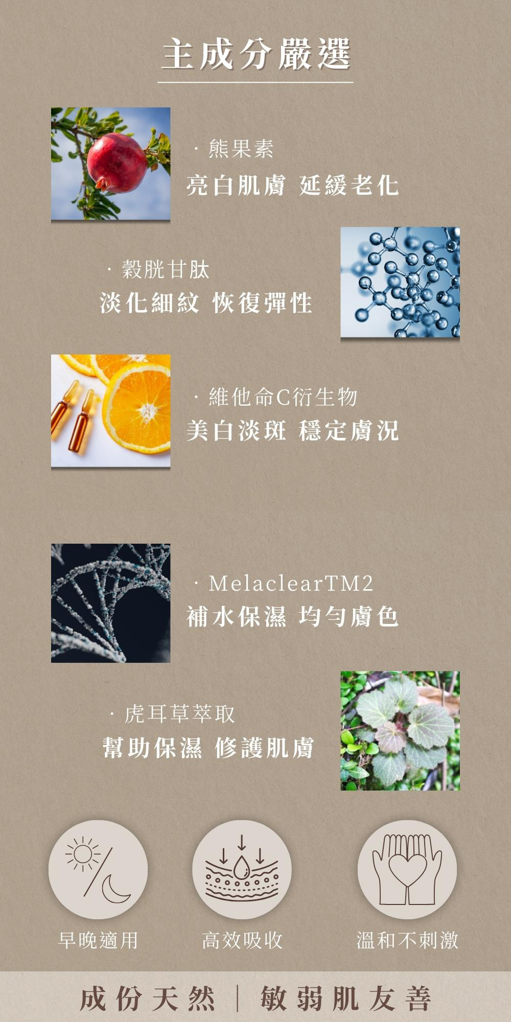 【hellome】夏日美白助攻組（精萃油 30ml+美白精華 30ml）淡化皺紋 保濕修復 油水平衡 按摩油 | 蝦皮購物