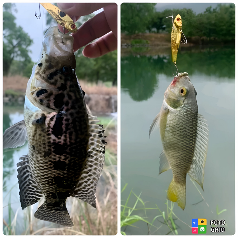 【LUZ路亞】【現貨】龍牙vib 顫泳 雞爪鉤 3g／5g／7g／10g／12g 岸拋 米諾 波爬 金屬 假餌 路亞餌 | 蝦皮購物