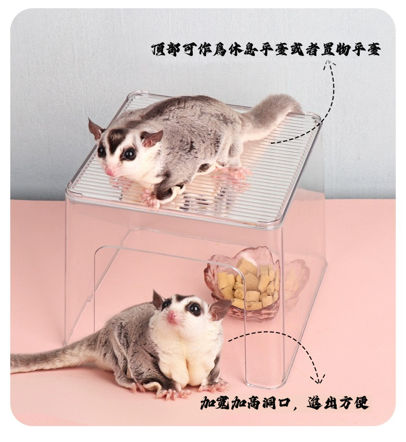 【XL_LX】現貨《防濺餐廳》蜜袋鼬餐具 防飛濺盒 可防止蜜糧飛濺 和糞便 掉食盆 小寵用品 | 蝦皮購物