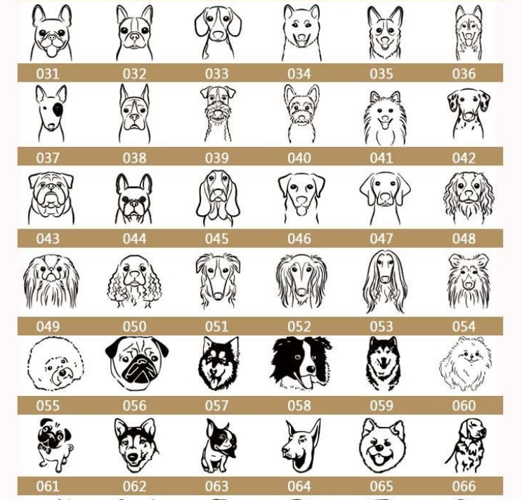 【滿799免運】狗狗項圈貓咪項圈鈴鐺除蚤虱子䮠蟲項圈防跳蚤脖圈頸圈刻字銘狗牌jioyh KIE3 | 蝦皮購物