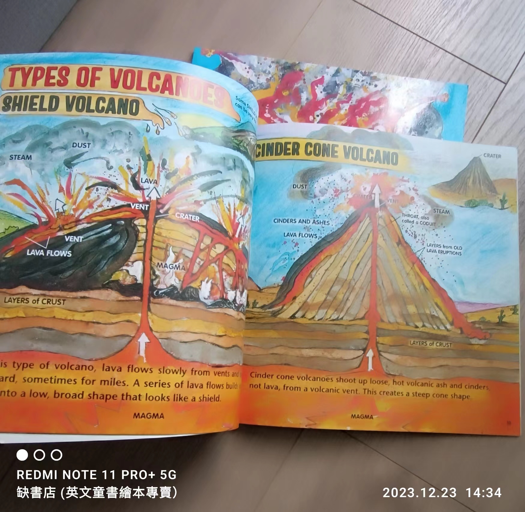 現貨🍀平裝英文科普繪本🍀Volcanoes 火山🍀Gail Gibbons🍀缺書店 | 蝦皮購物