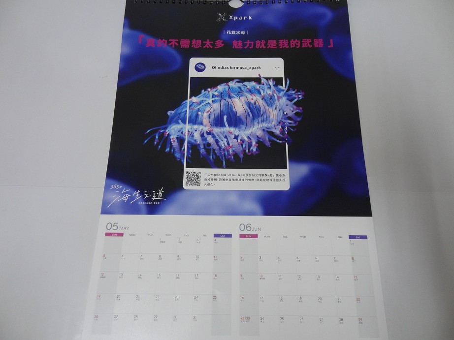Xpark 2024年月曆 台灣橫濱八景島 365種海生之道 水族館 月曆 大王巨足蟲 水母 國王企鵝【領券免運】 | 蝦皮購物