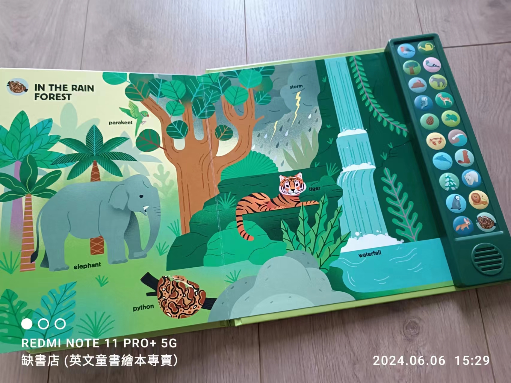 英文硬頁大自然音效按鍵書🍀My Big Book of Nature Sounds🍀100種聲音和英文單字🍀缺書店 | 蝦皮購物