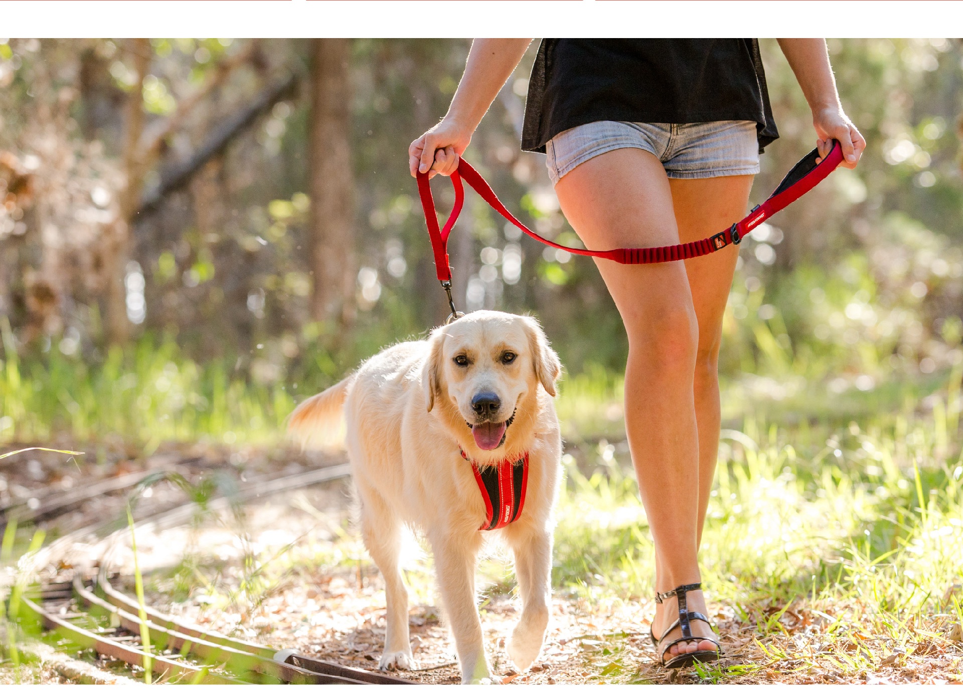 EZYDOG 零拉力牽繩 (不含胸背帶) 寵物牽繩/防暴衝 拉繩 減緩50%拉力 夜間反光設計 | 蝦皮購物