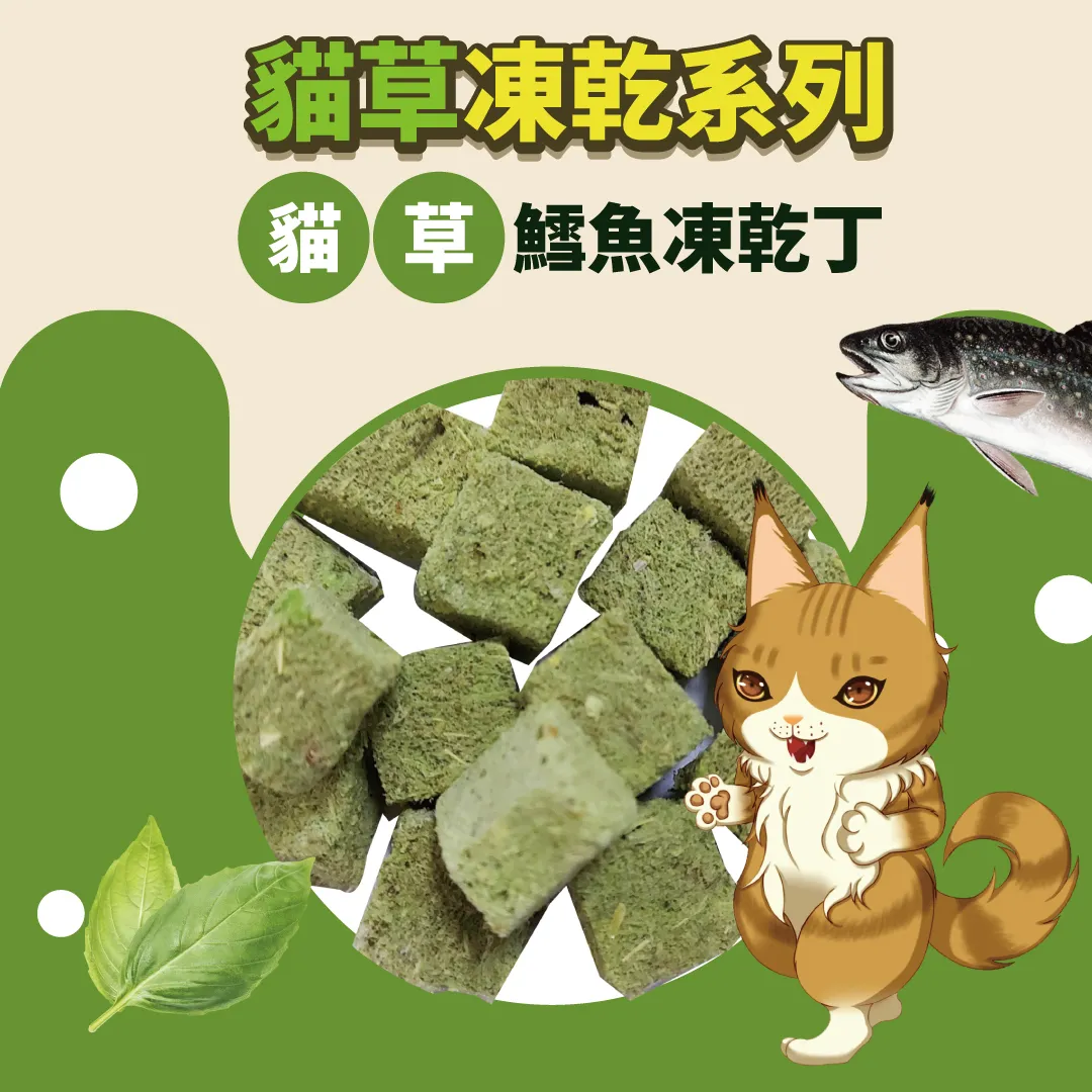 💫提尼寵物💫【Cat Glory 驕傲貓】貓草凍乾丁罐裝80g 凍乾 貓零食 貓草凍乾 凍乾零食 貓草零食 寵物凍乾 | 蝦皮購物