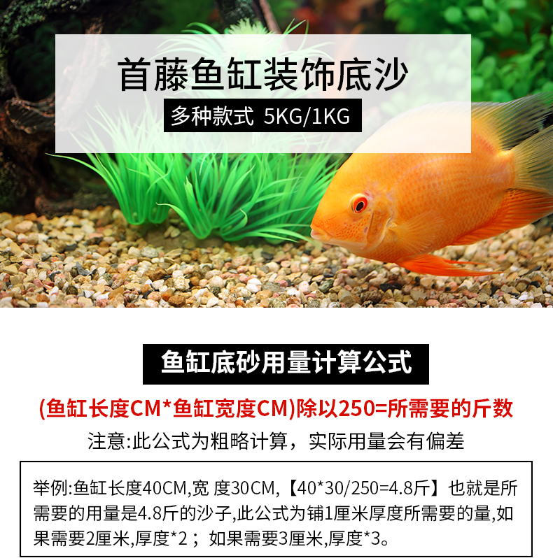 800g 2.2kg 鼠魚 細砂【慢慢魚】日本 SUDO 底棲 魚 鼠 沙 鼠砂 鼠沙 造景 三湖 坦干 鼠魚 底棲魚 | 蝦皮購物