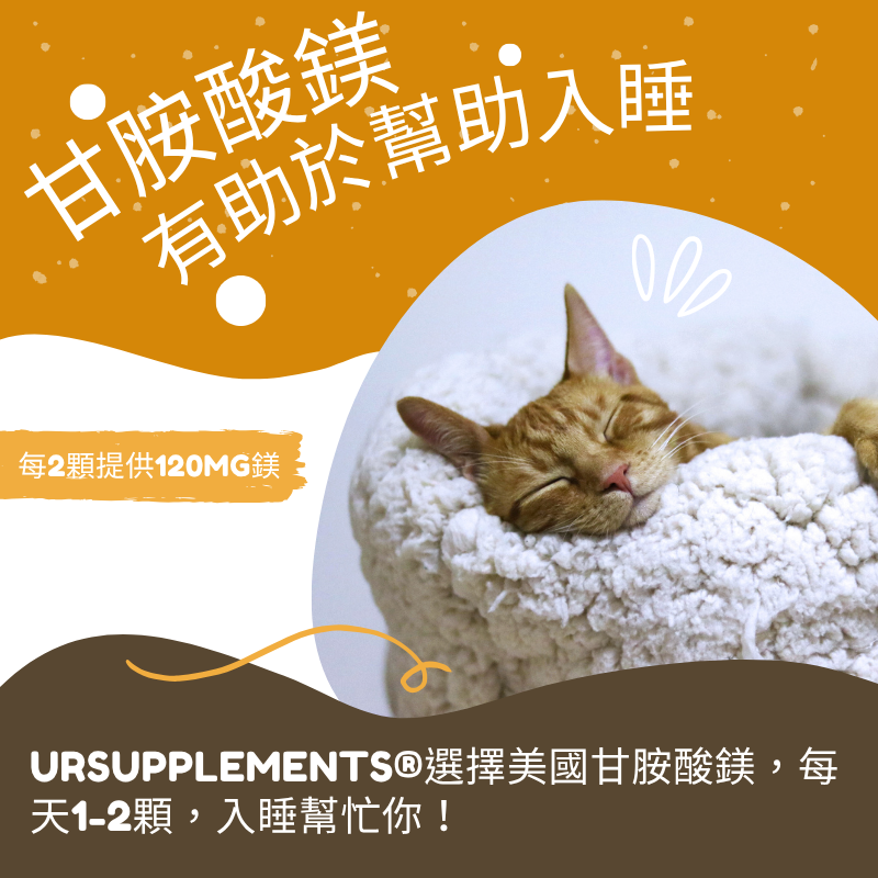 Novomin 甘胺酸鎂 每顆500 mg甘胺酸鎂 (鎂60mg) 60顆/瓶 非素食【你的補充品】 | 蝦皮購物