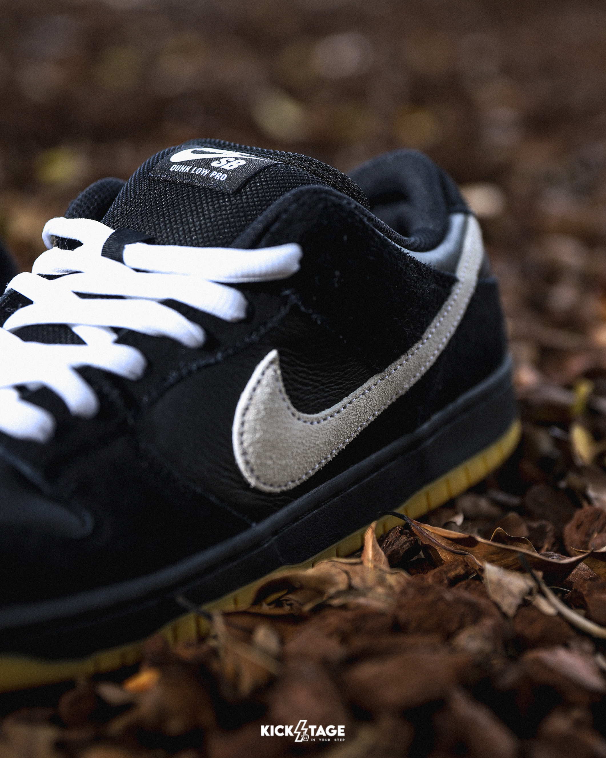 NIKE DUNK SB 滑板鞋 沙色 HJ0367-200 灰黑FJ1674-002 白黑 黑白 HF3704 | 蝦皮購物