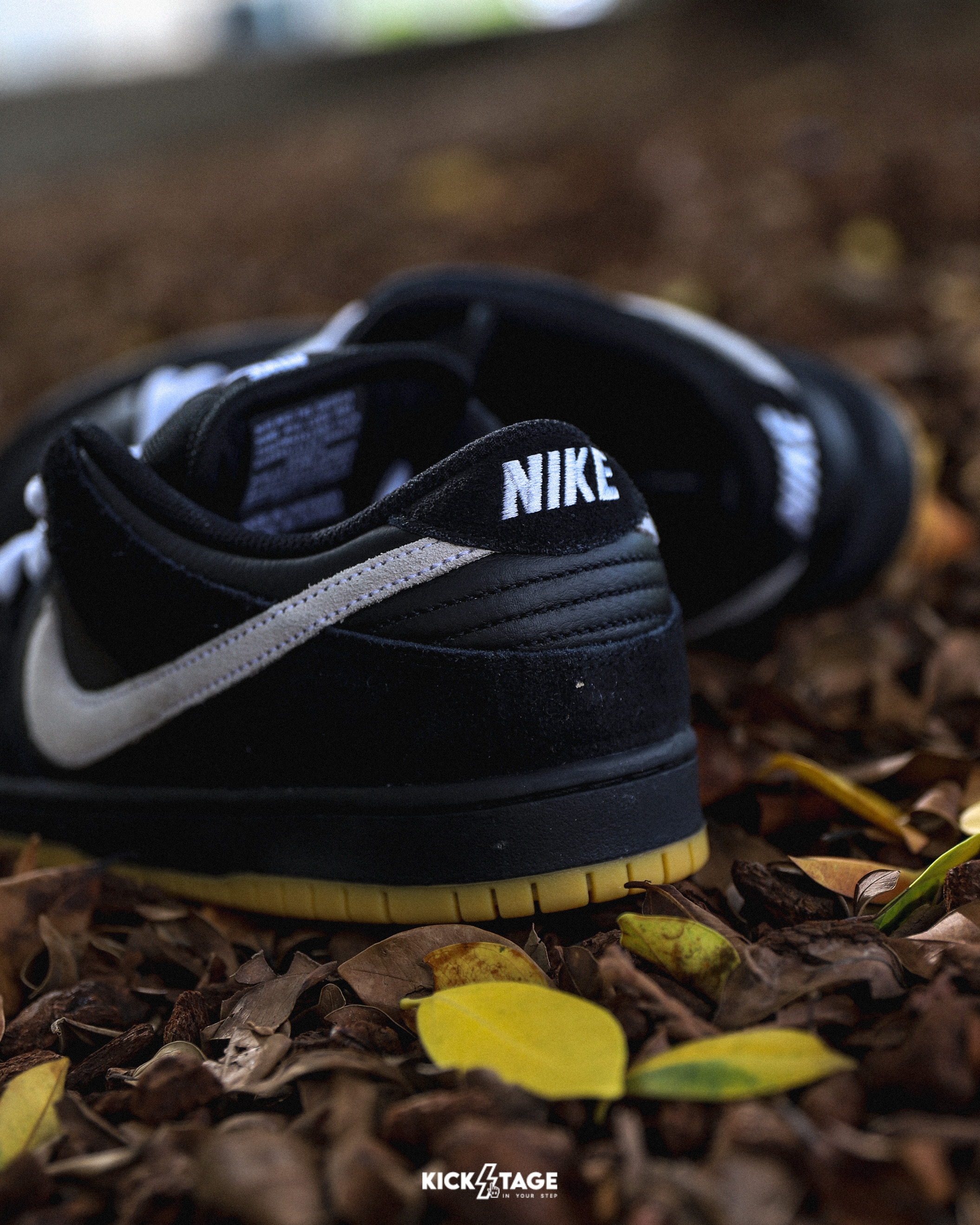 NIKE DUNK SB 滑板鞋 沙色 HJ0367-200 灰黑FJ1674-002 白黑 黑白 HF3704 | 蝦皮購物