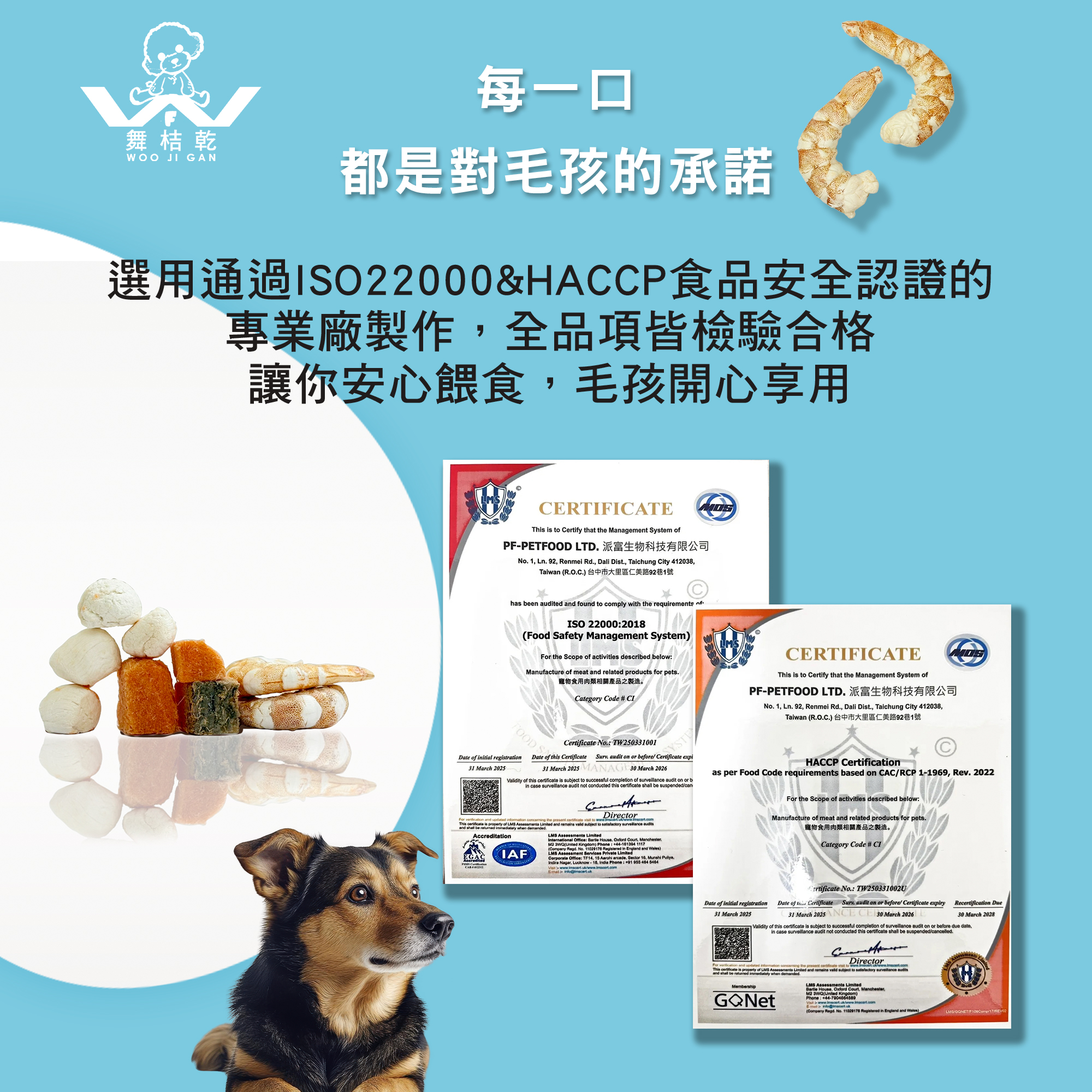 【指定品折後$98】舞桔乾 100%原型凍乾鮭魚丁口味35g/10g 寵物零食 貓咪凍亁 狗狗凍亁 貓咪點心 | 蝦皮購物