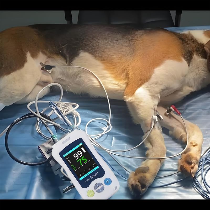 寵物血氧儀 動物醫院專用 SPO2 精準檢測寵物脈率/血氧飽和度 | 蝦皮購物