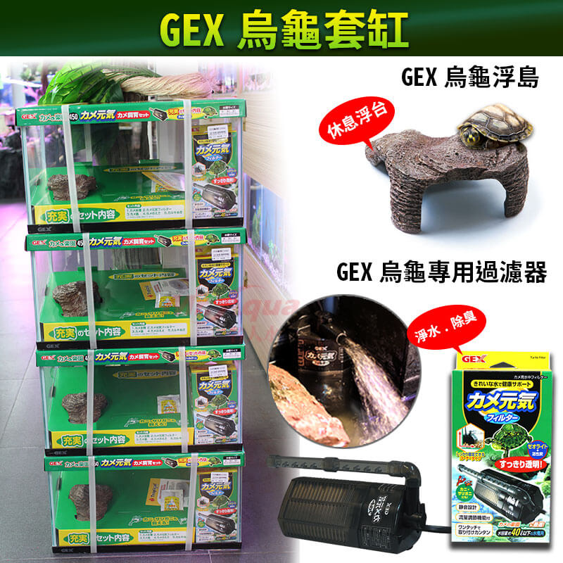 【官方免運隔日到貨】烏龜飼養箱 烏龜套缸 烏龜缸 GEX 45cm套缸 兩棲缸 飼育缸 爬蟲缸 烏龜 蠑螈(H-815) | 蝦皮購物