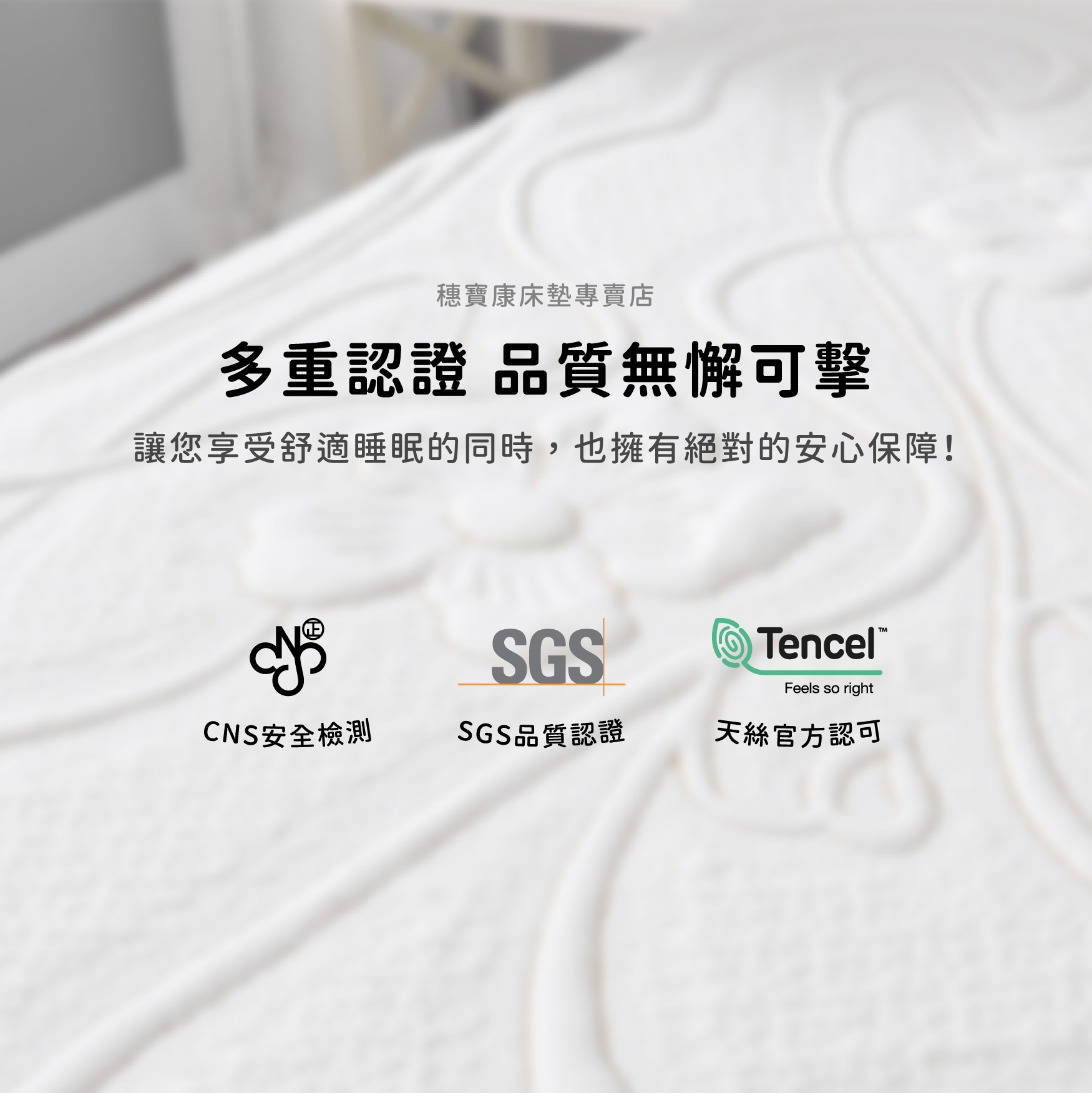 (免運) 穗寶康床墊專賣店 居家電動床 智能電動床 FB3.5美式電動床 居家照顧床 電動起背器 升降床墊 升降床 | 蝦皮購物