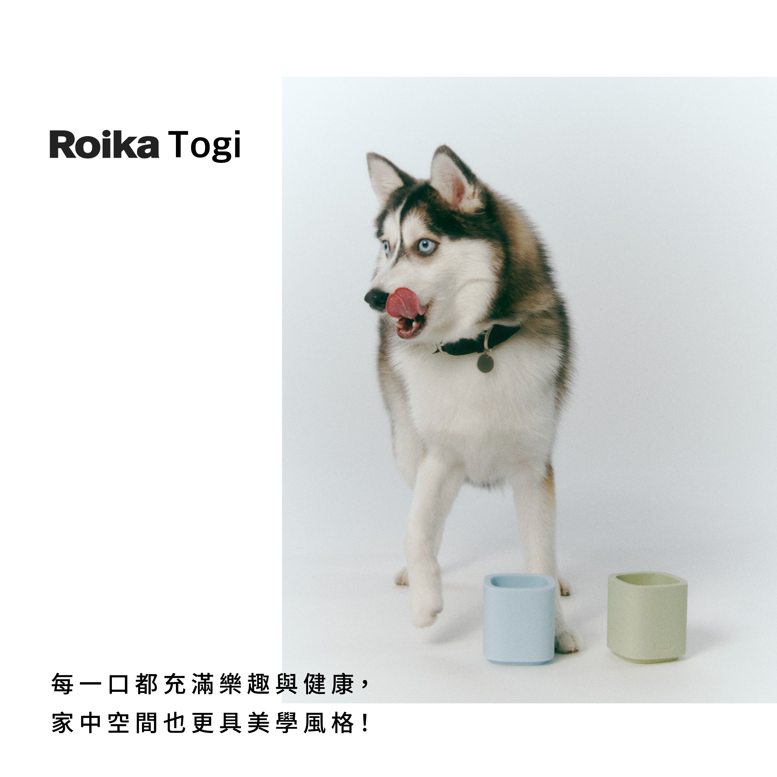 KAHU｜現貨｜韓國 Roika 多功能疊疊慢食碗 Togi | 蝦皮購物