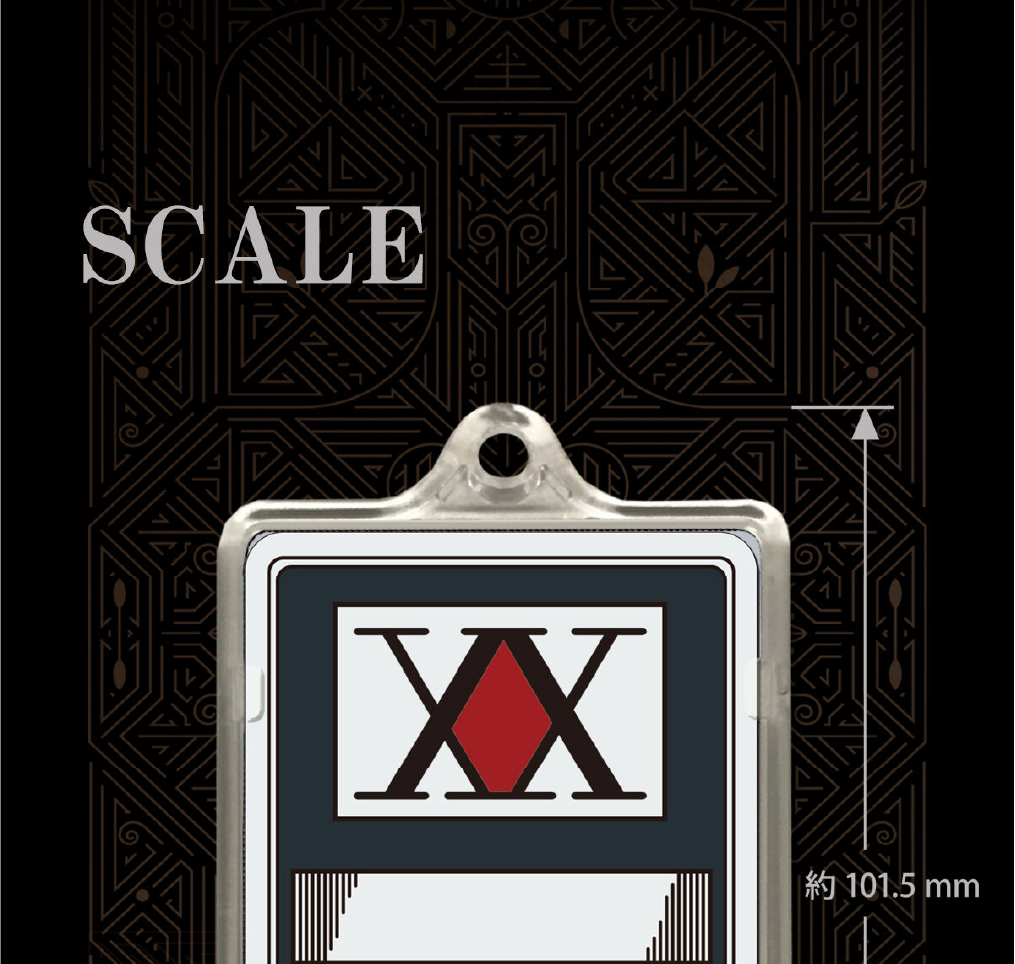 JB _TOYS ☆ 日版 代購 HUNTER×HUNTER獵人卡套 官方授權 獵人執照 PIICA＋發光卡套 周邊 | 蝦皮購物