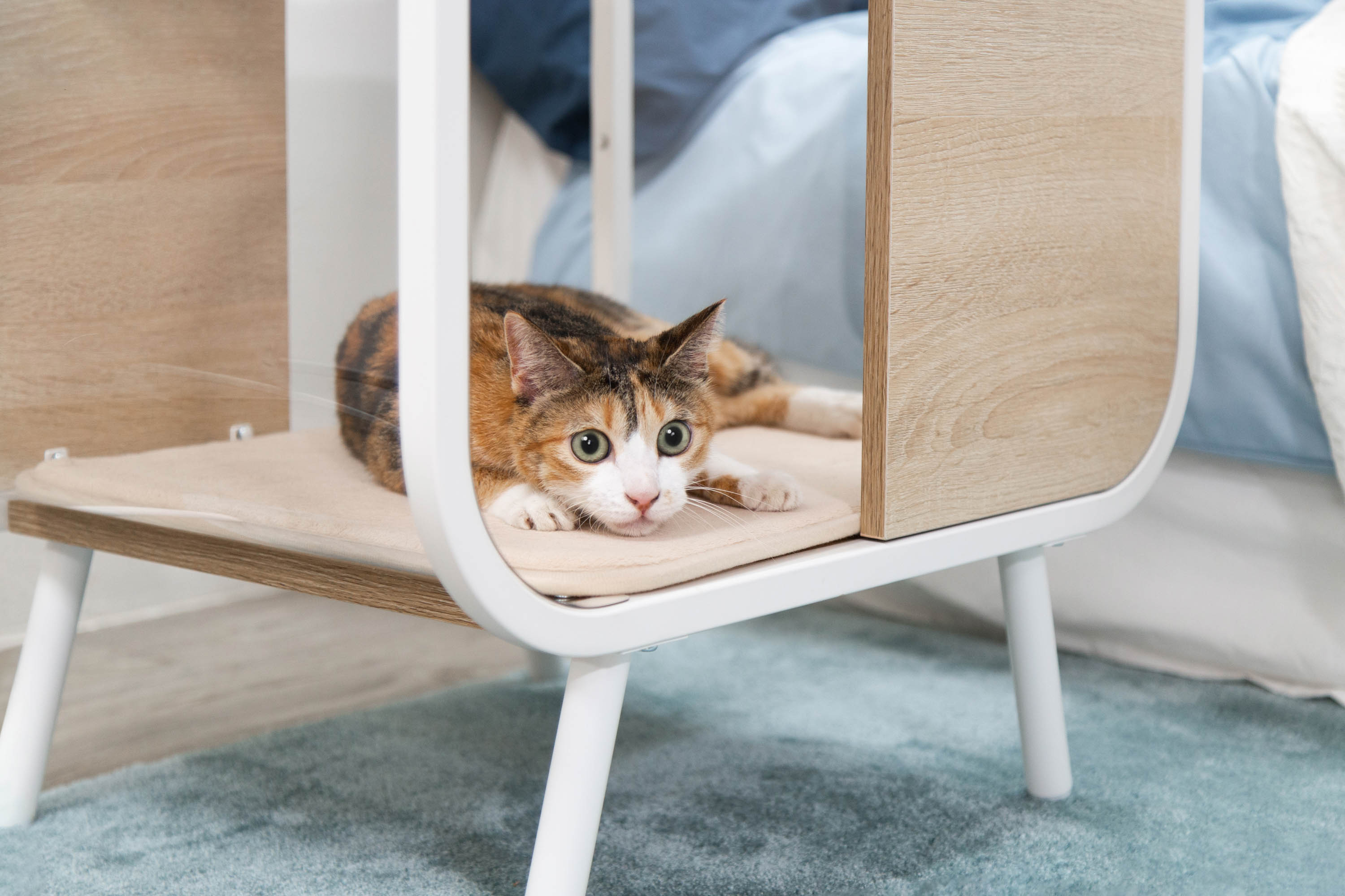 MYZOO 動物緣｜貓邊桌 Beam（白色）桌子 小邊桌 | 蝦皮購物