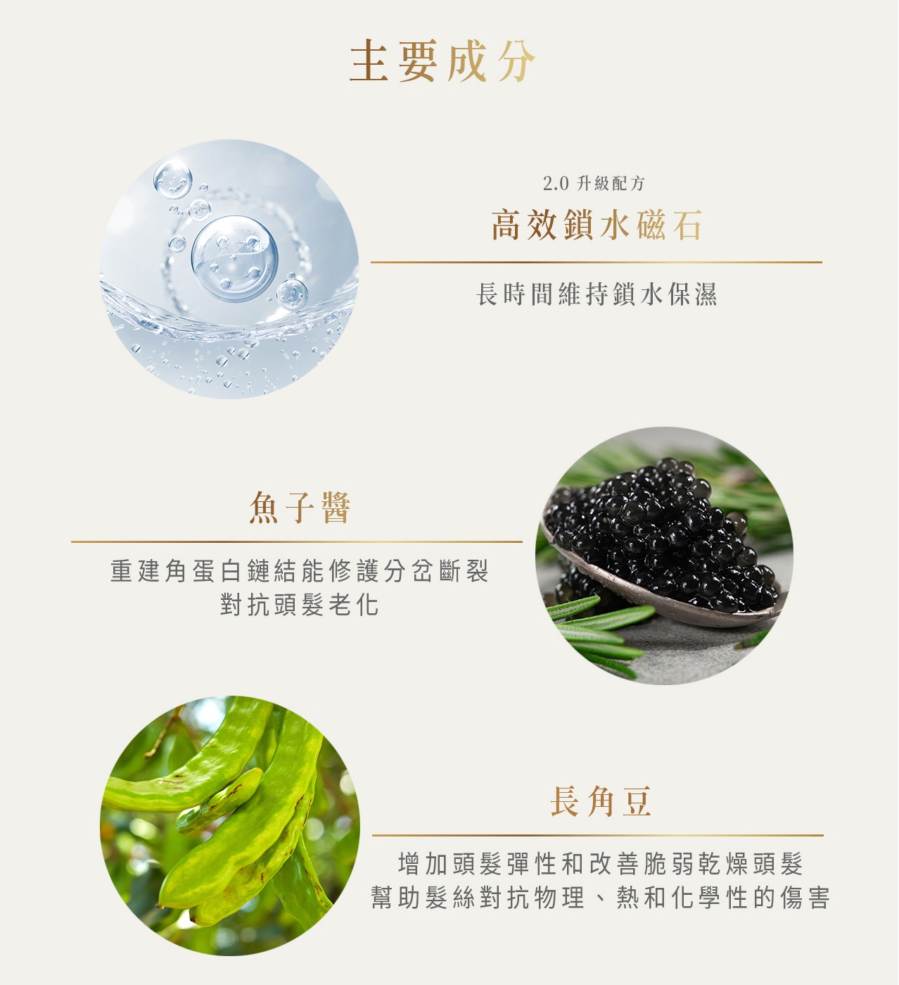 de Balets【染漂專用升級-小棕髮膜】SPA級香水護色賦活深層修護髮膜 No.47 清新晨香 30ml | 蝦皮購物