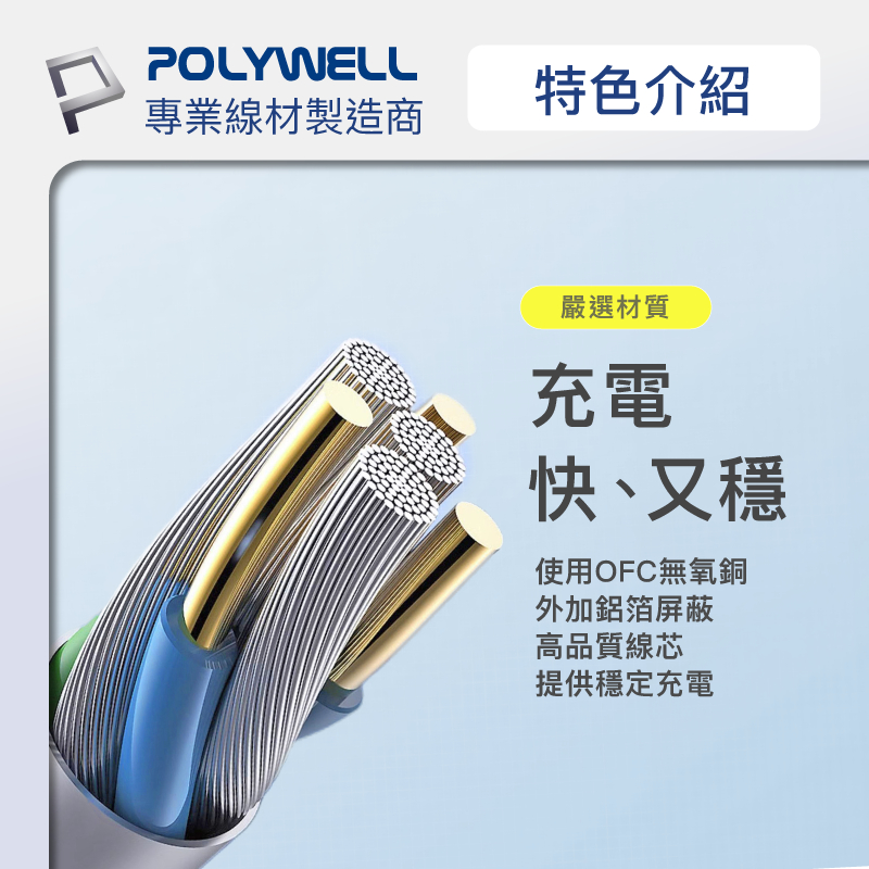 POLYWELL Type-C PD編織快充線 3A 60W 20公分~3米 適用 iPhone16 寶利威爾 充電線 | 蝦皮購物