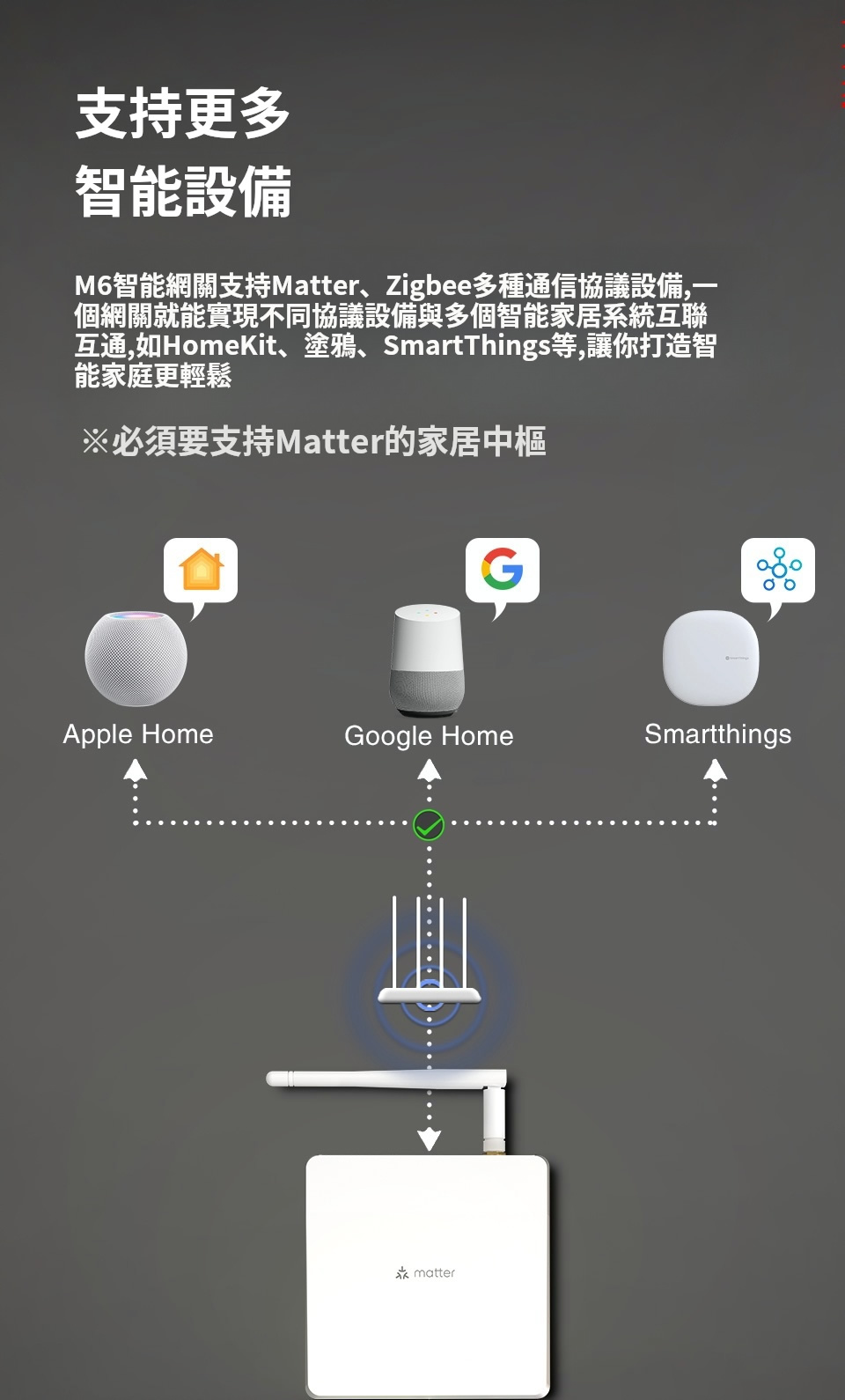 matter網關Tuya網關homekit網關tuya中樞zigbee網關智慧開關Siri google等語控 | 蝦皮購物