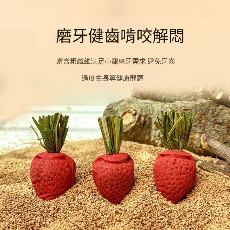 道格兔Dogbbit | 3入裝 草莓草餅 兔子草餅 草餅 磨牙 鼠零食 天竺鼠零食 龍貓零食 草棒 兔子零食 零食草餅 | 蝦皮購物