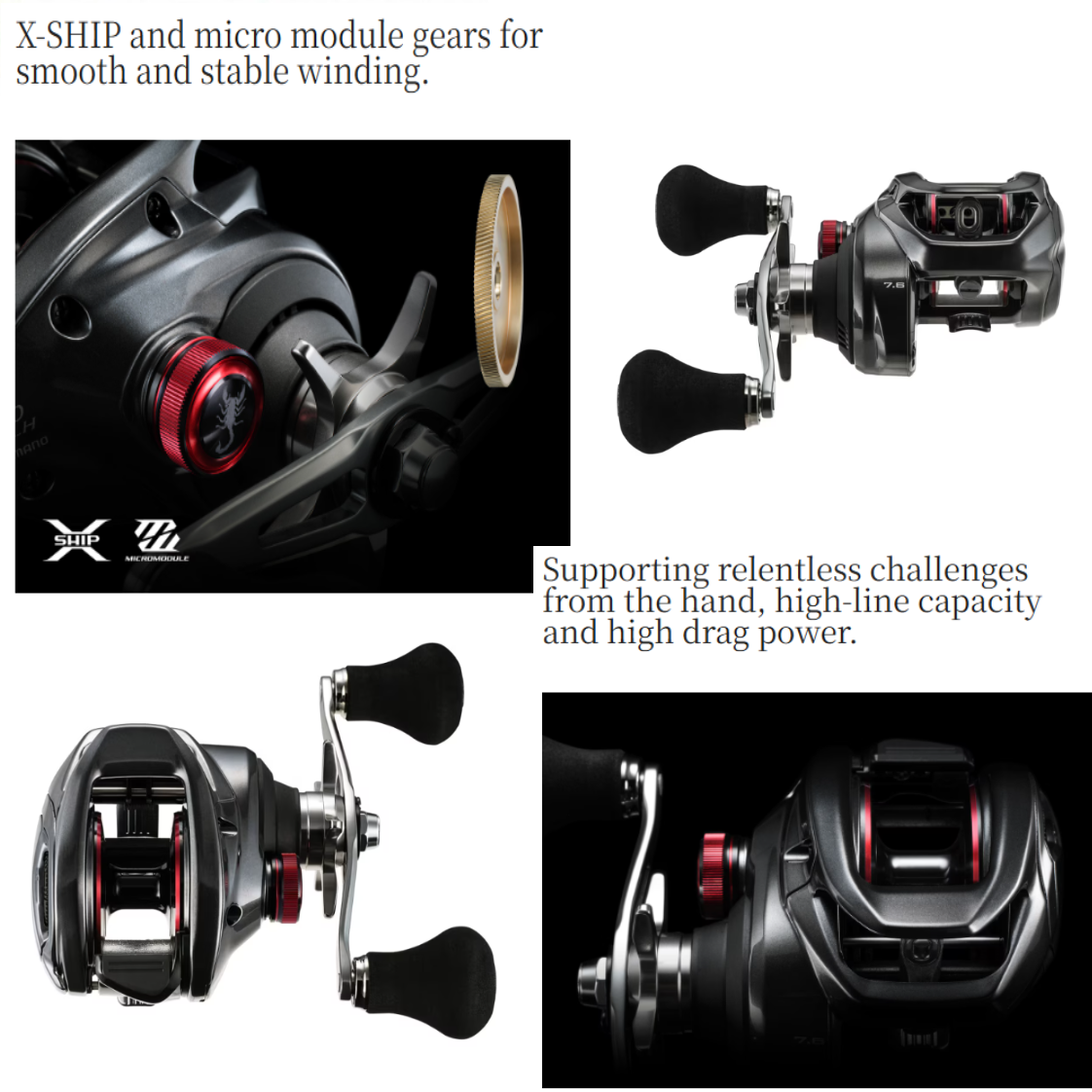 Shimano 24'Scorpion MD 300 300XG/301XG/300XGLH/301XGLH 各種型號 | 蝦皮購物