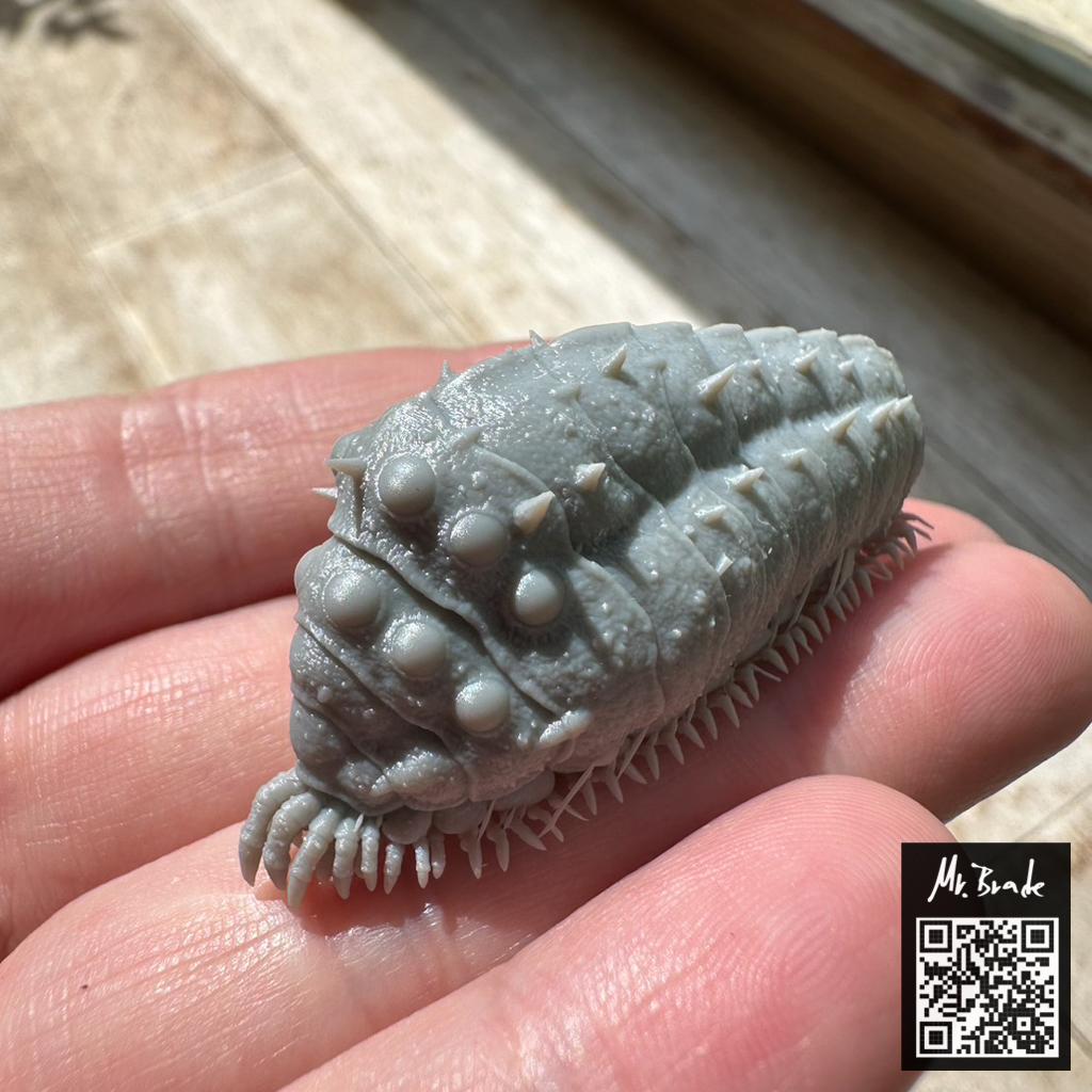 Mr.Brade 風之谷 王蟲(扭蛋大小)_3D列印未塗裝模型 （出清中） | 蝦皮購物