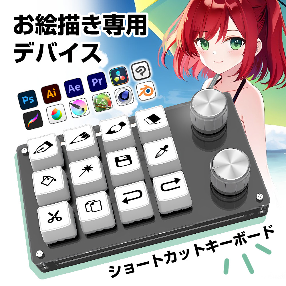 12鍵 旋鈕 自定義 編程 程式 機械鍵盤 紅軸 可用於 ps csp sai 繪圖軟體 快捷鍵 可程式鍵盤 送鍵盤貼紙 | 蝦皮購物