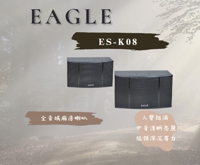 【EAGLE】8吋全音域頂級廂房喇叭 ES-K08 KTV包廂房喇叭 卡拉OK包廂喇叭 錢櫃喇叭 | 蝦皮購物