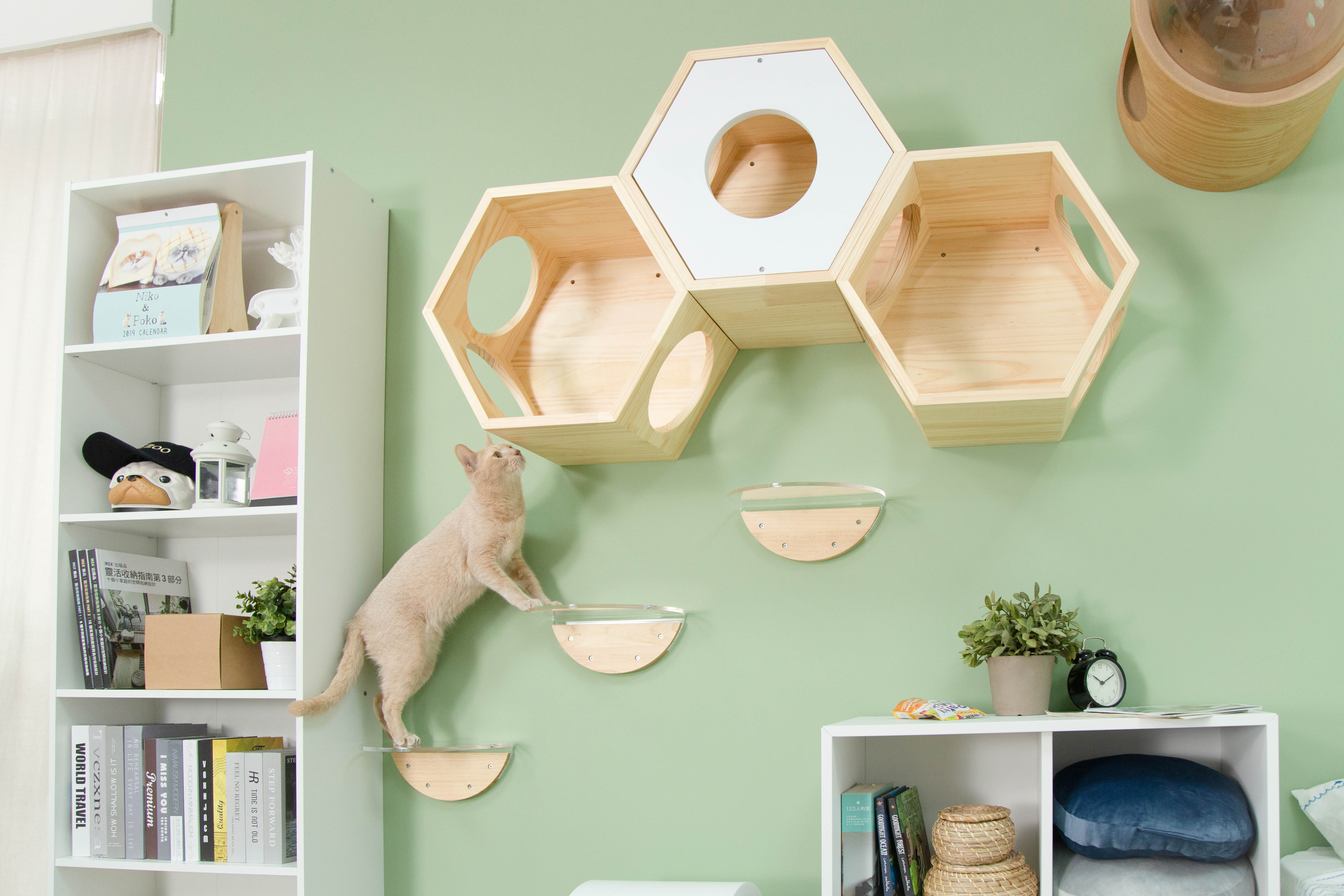 MYZOO 動物緣｜透明貓踏板 Lack Clear（單片入）貓傢俱 貓跳台 貓爬架 | 蝦皮購物