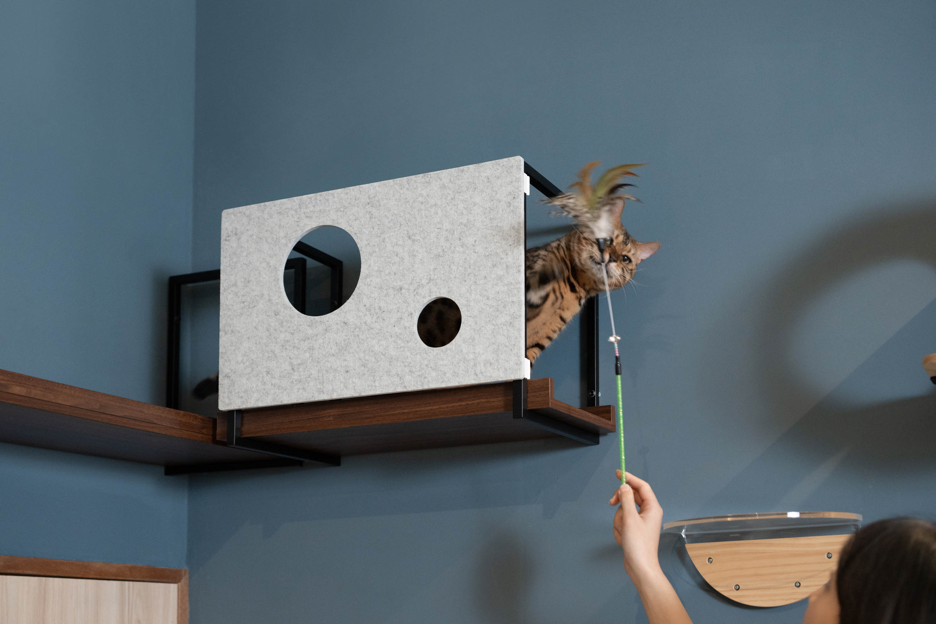 MYZOO 動物緣｜配件 - 貓天空走道屏風 | 蝦皮購物