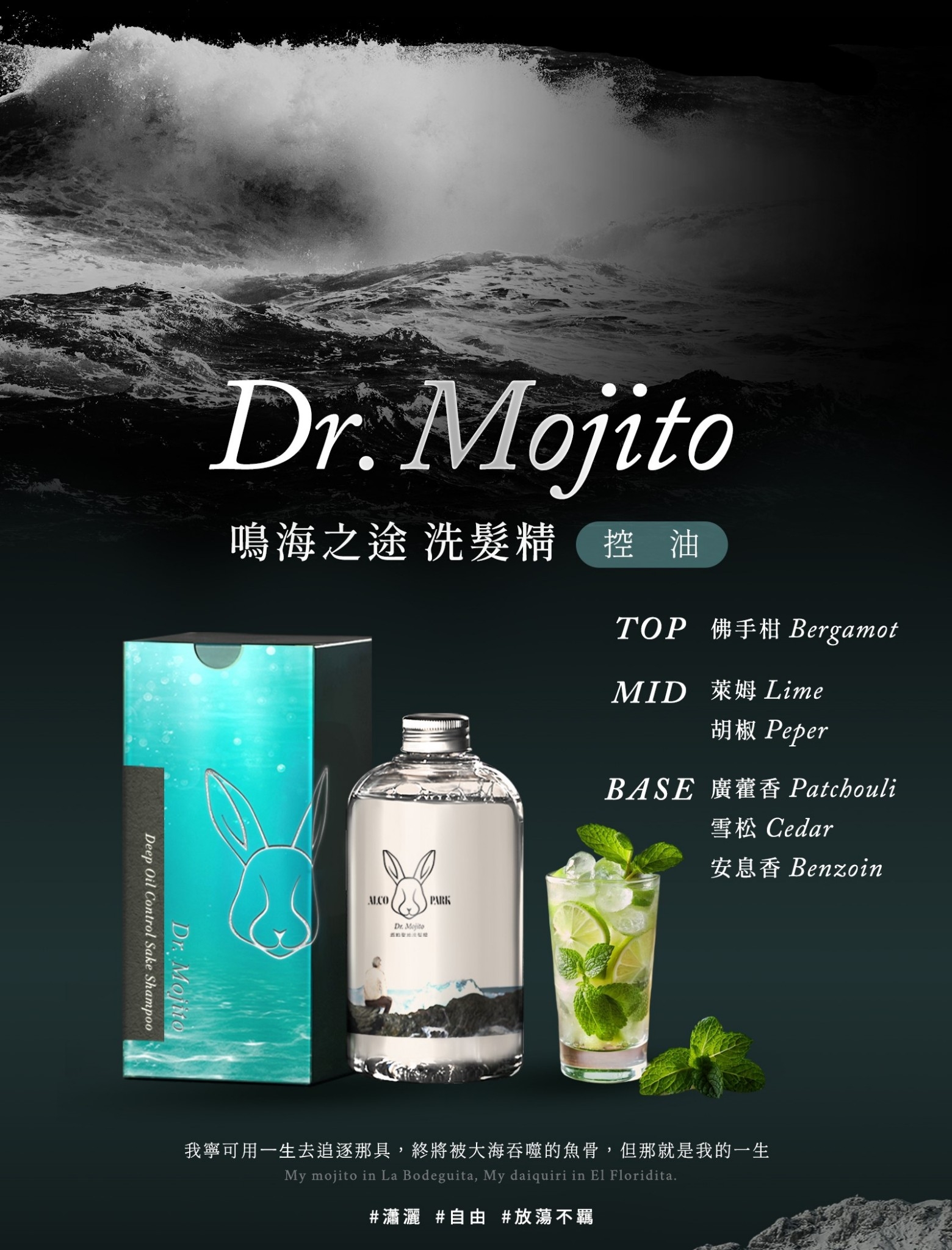 【ALCOPARK 官方直營】Dr. Aviation 塵酒夜行洗髮精｜聖誕禮物 交換禮物 快速到貨 | 蝦皮購物